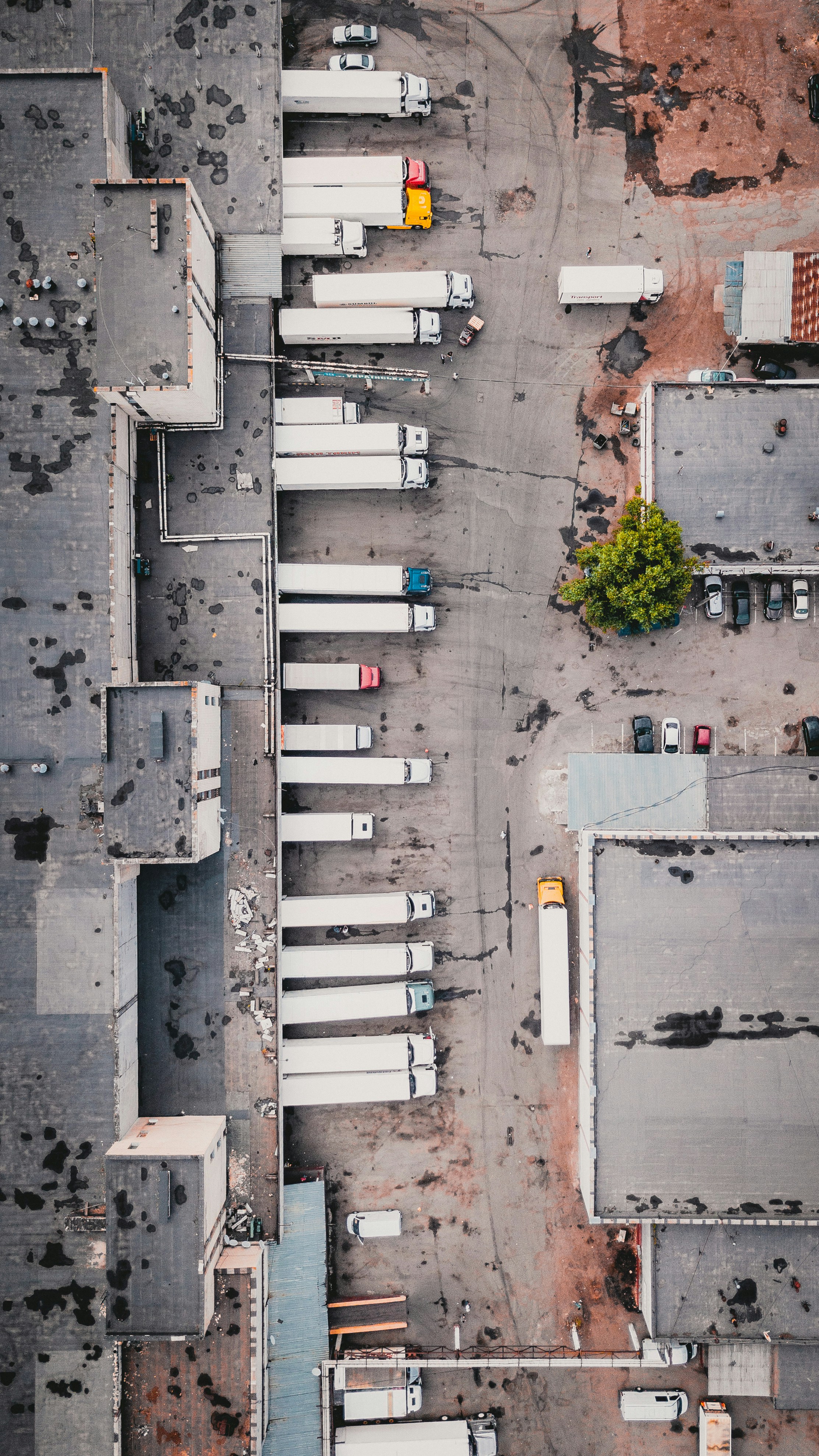 DOT Processing Services